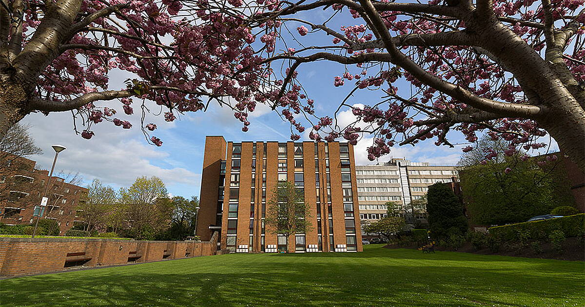 18 Rowan House, Mespil Estate, Ballsbridge, Dublin 4 - Studio